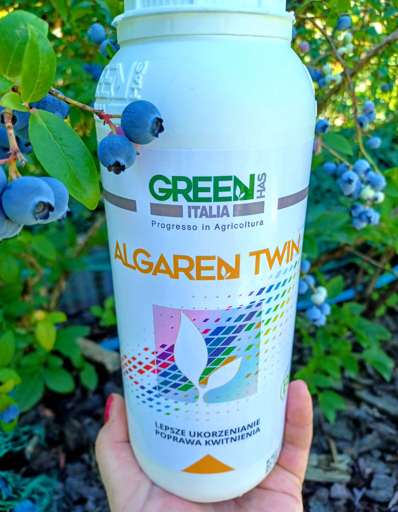 Algi w nawozach stosowane w formie dolistnej