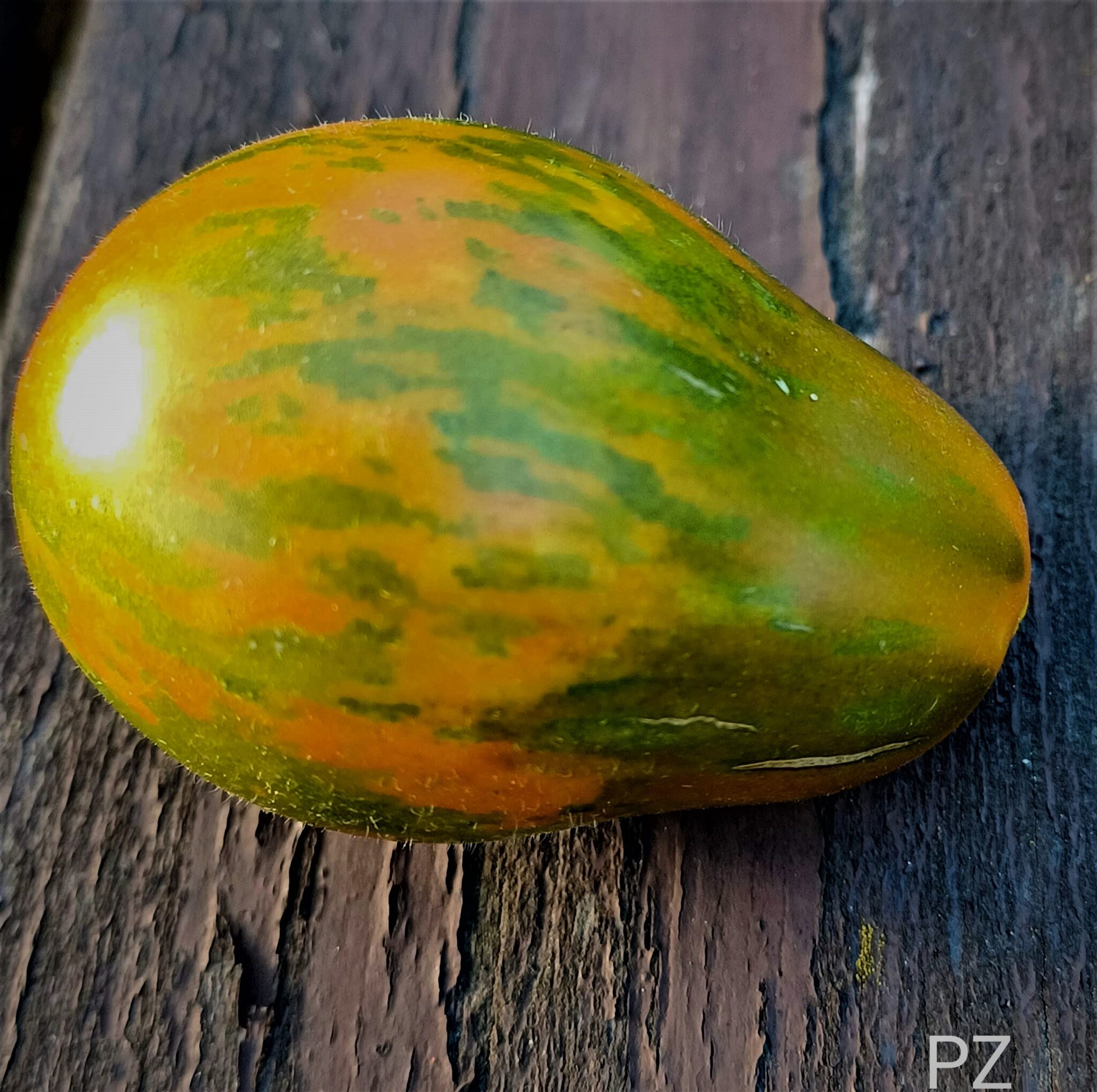 . Pomidory zebry mają wszystkie możliwe kolory